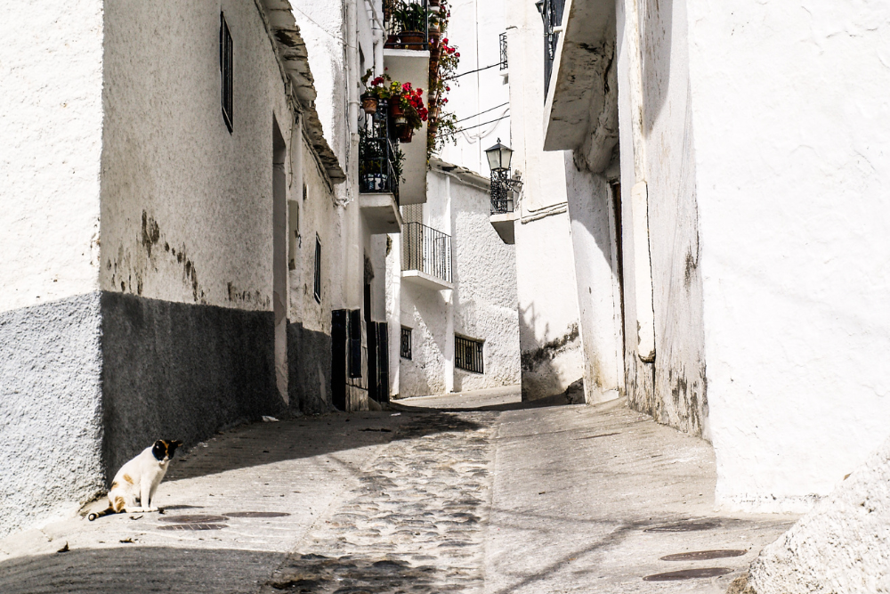 Best time to visit Andalucia: tips for every month | Ruralidays