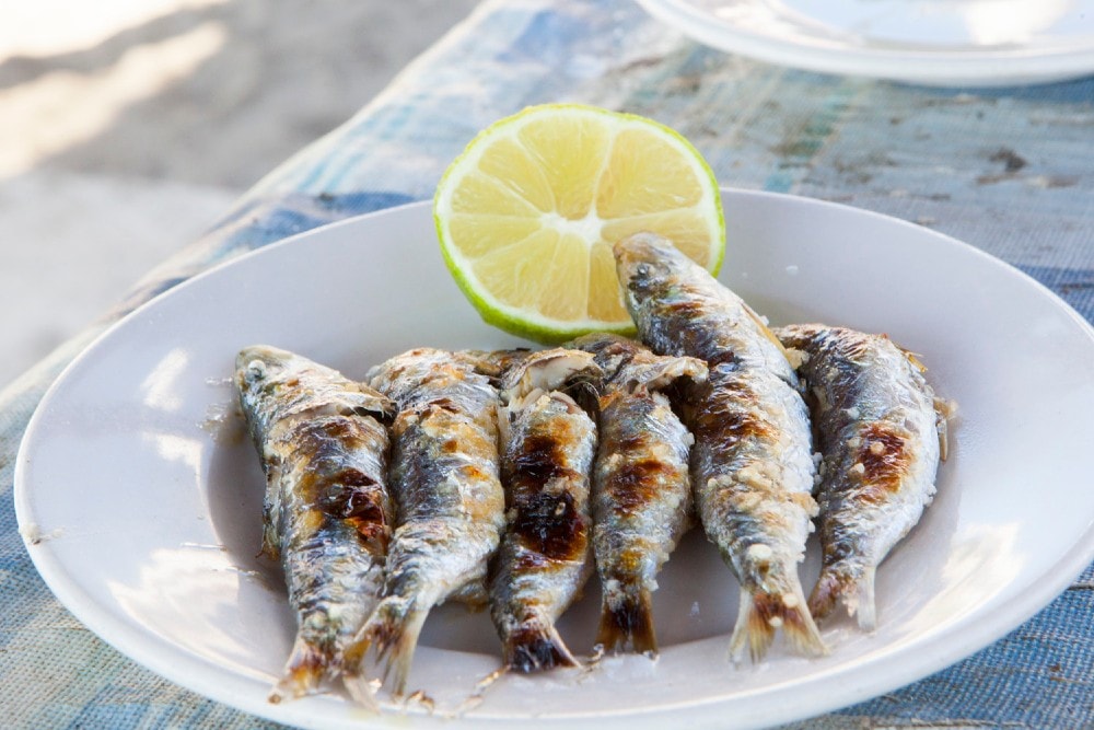 Malaga, what to see, what to do and where to go | Ruralidays
