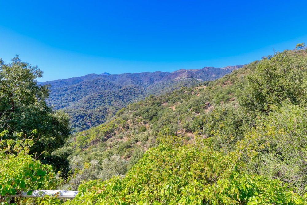 What to See in Estepona: Top Attractions and Hidden Gems